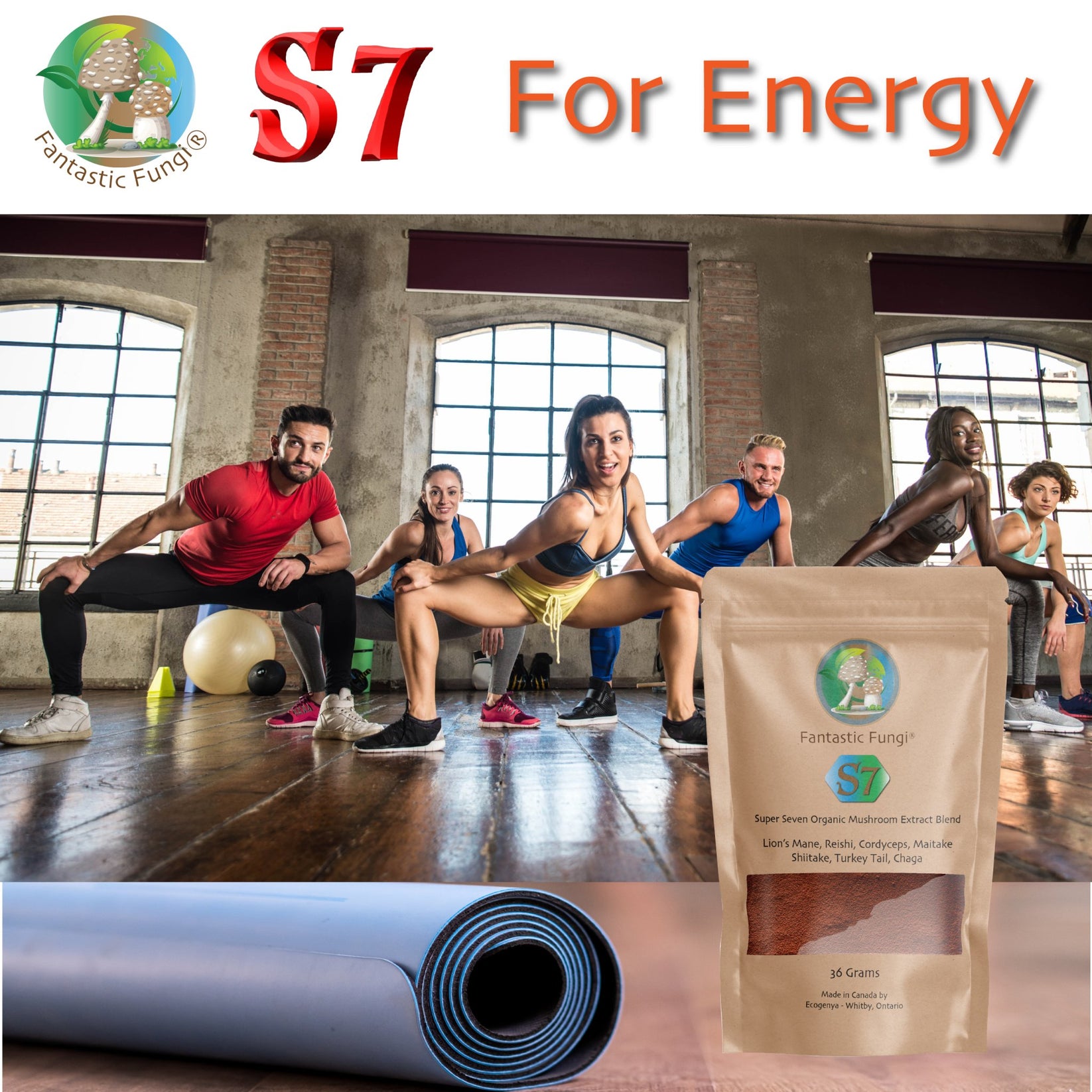 Organic Super 7 Mushroom blend extract powder – Halal, Kosher, Vegan, – Ecogenya