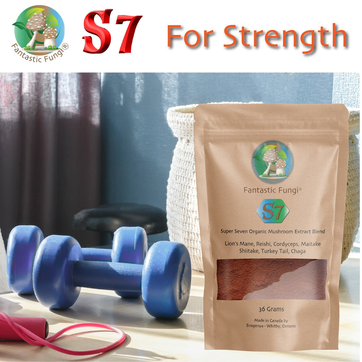 Organic Super 7 Mushroom blend extract powder – Halal, Kosher, Vegan, – Ecogenya